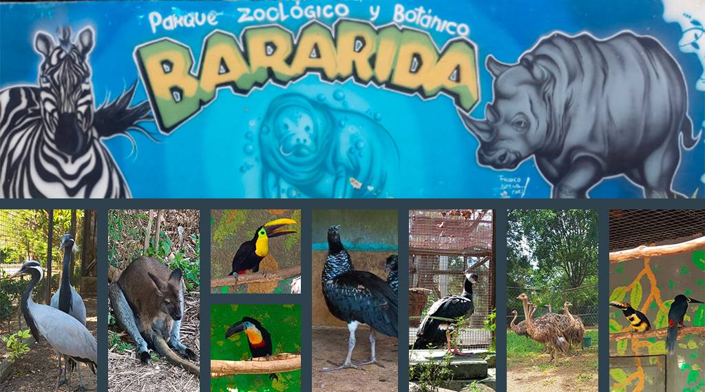 Notiprensa DigitalParque Bararida luce nuevas especies animales