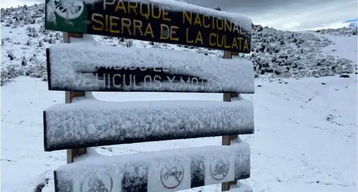 Notiprensa DigitalMérida se viste de blanco: impresionante nevada ...