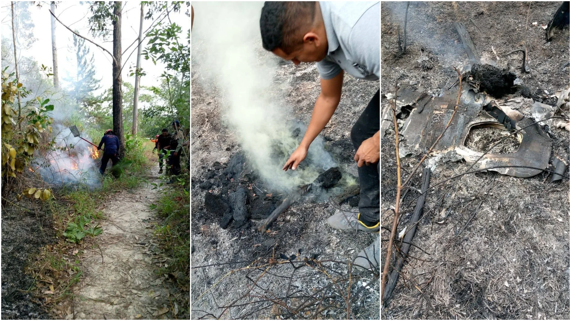 Notiprensa DigitalIncendio y fallecidos en Miranda: Avioneta se ...