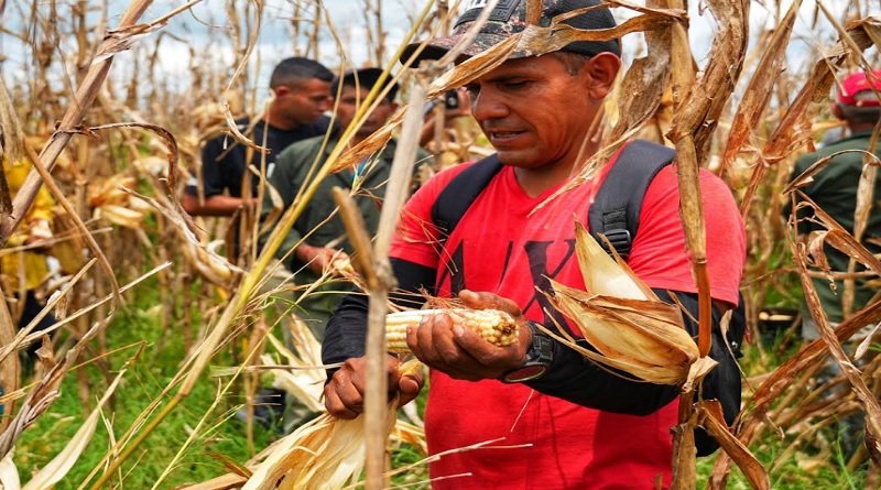 Notiprensa Digital¡Para fortalecer el ciclo de invierno! Inicia la ...